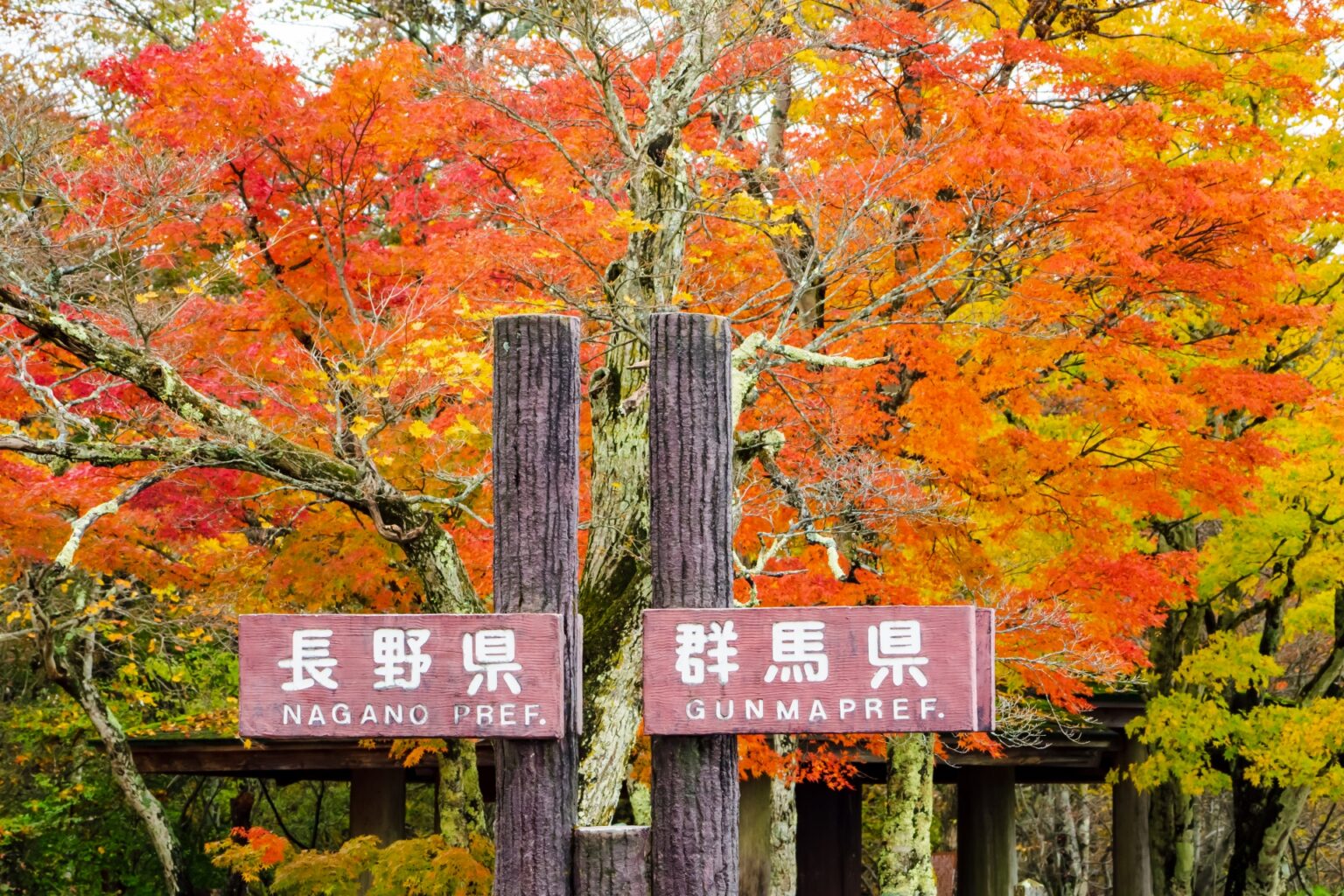 長野の浅間山は今どうなってる？現在の噴火状況・登山可否まとめ - 長野ツアーズ